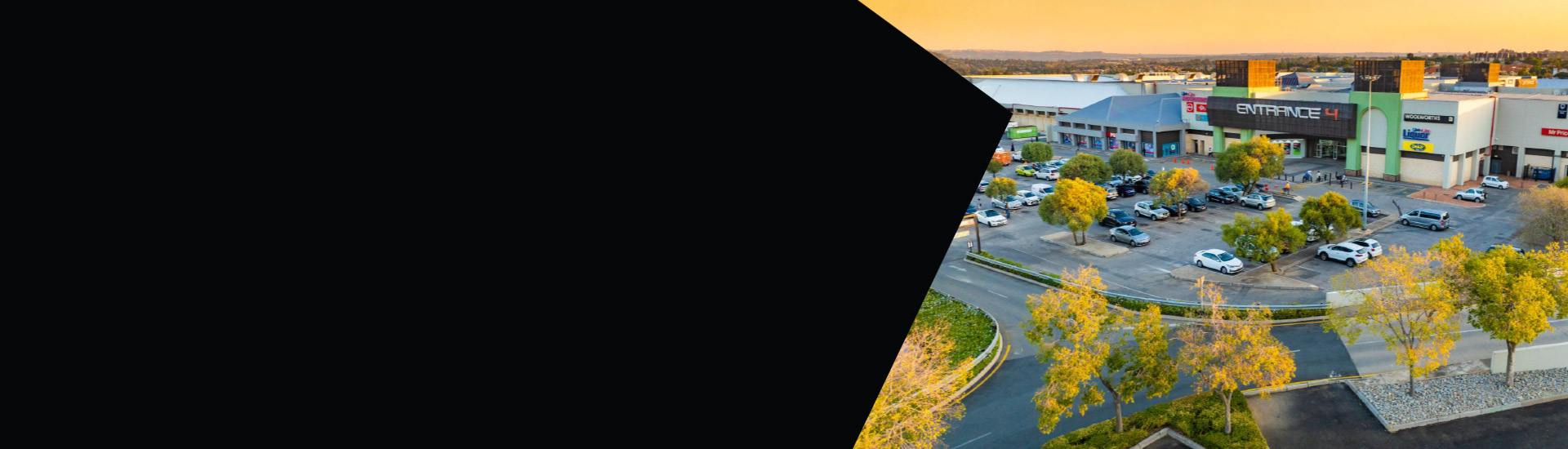 Home - Shield Express